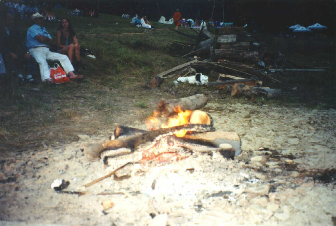 "Vatra 1998" by Al and Oly Boyko